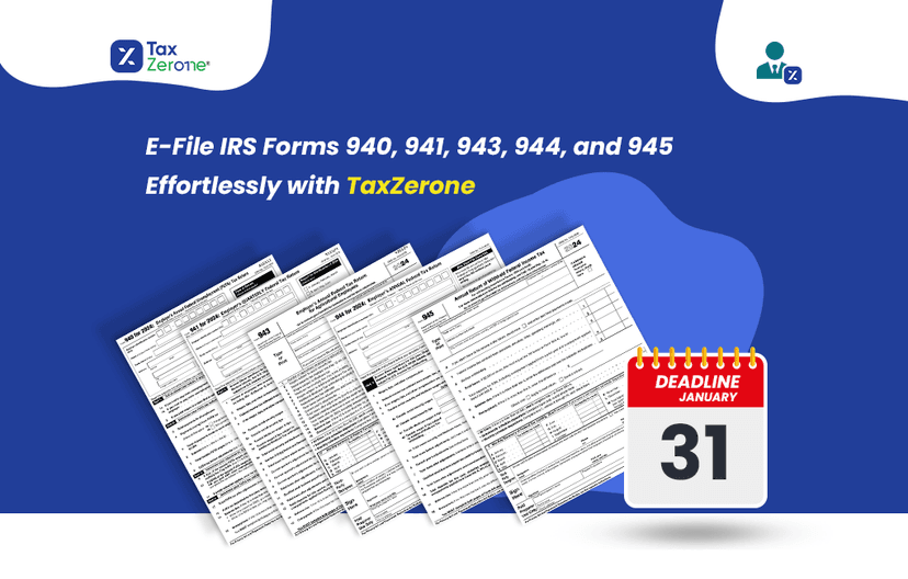 E-Filing IRS Tax Forms Simplified with TaxZerone®