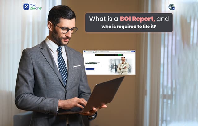 E-Filing IRS Tax Forms Simplified with TaxZerone®
